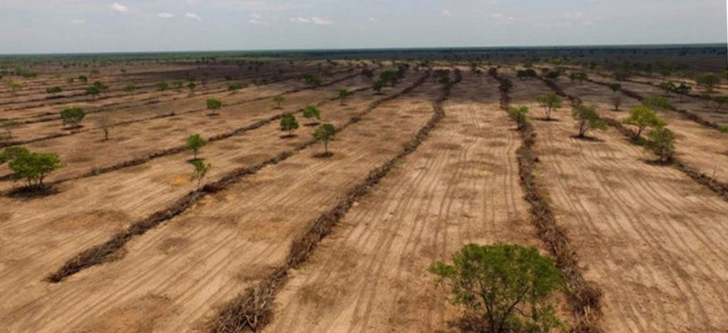 Mapbiomas: Matopiba passa Amazônia e lidera desmatamento no Brasil ...