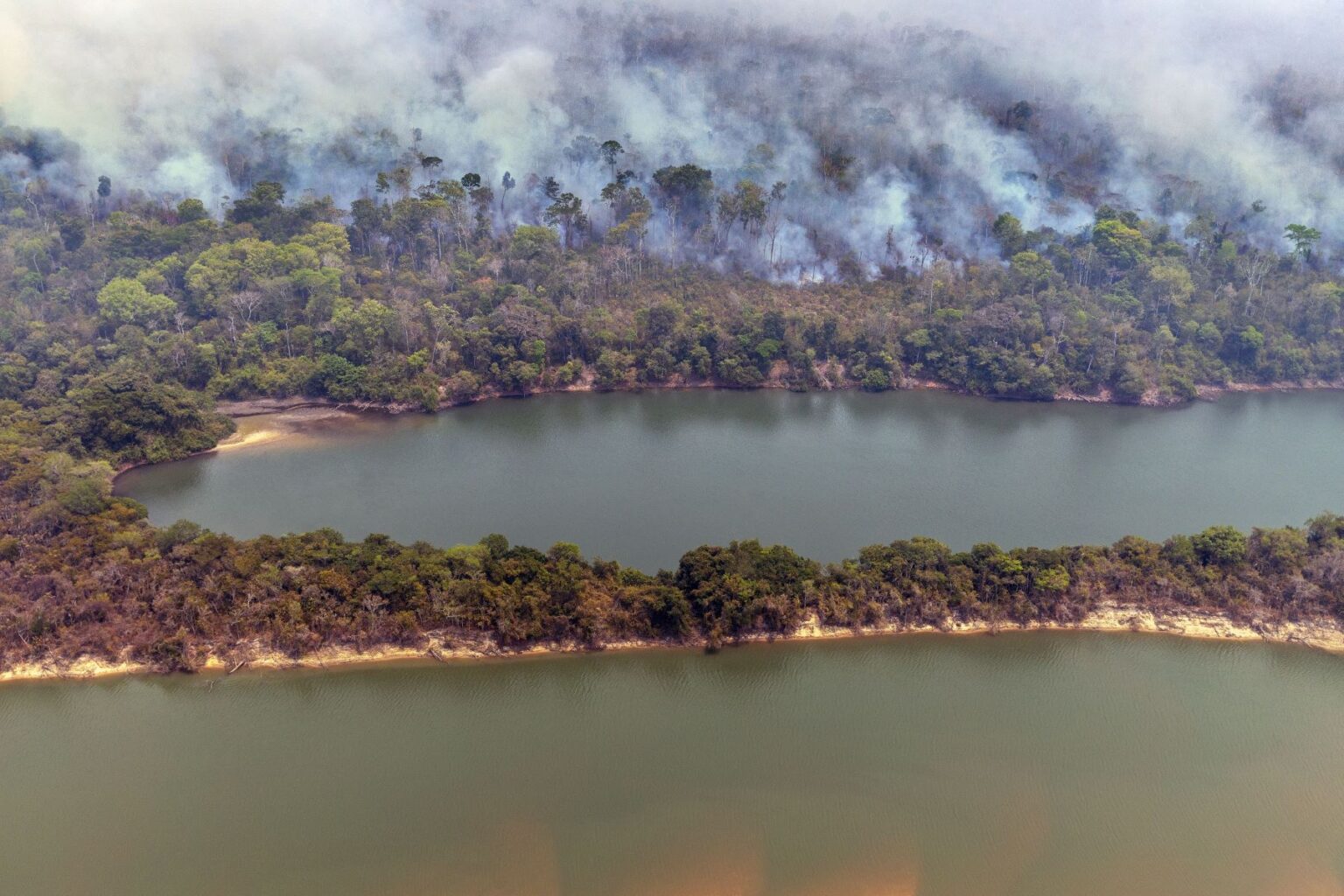 Monitor do Fogo: área queimada no Brasil aumentou 79% em 2024 – Bem Blogado